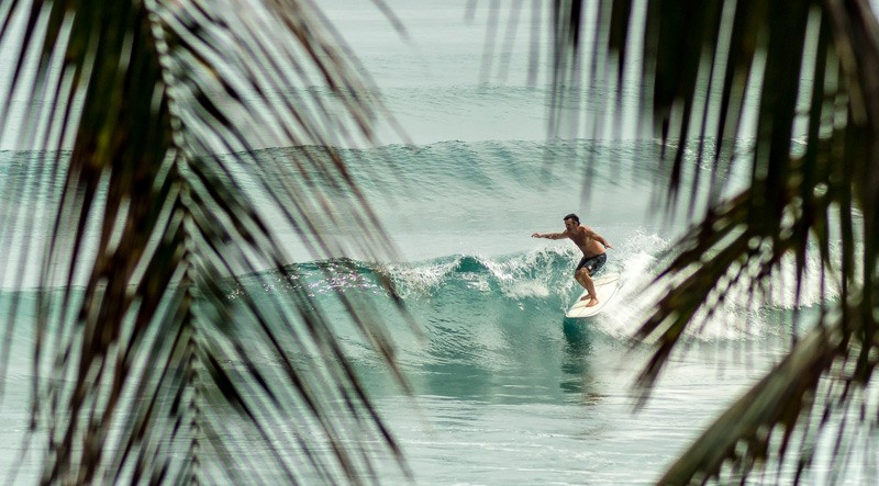 » Longboard vs. Shortboard